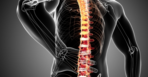 Taking Care Of Health And Wellbeing- Basics Of Chiropractic