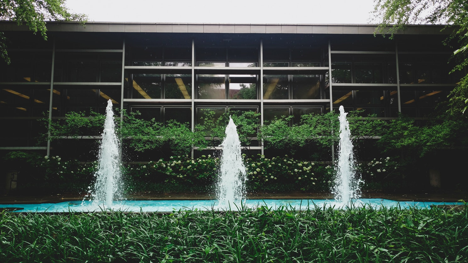 3 Super Easy Ways To Save Water At Home