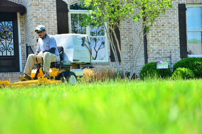 Professional Lawn Services – Reasons Why You Should Opt-in