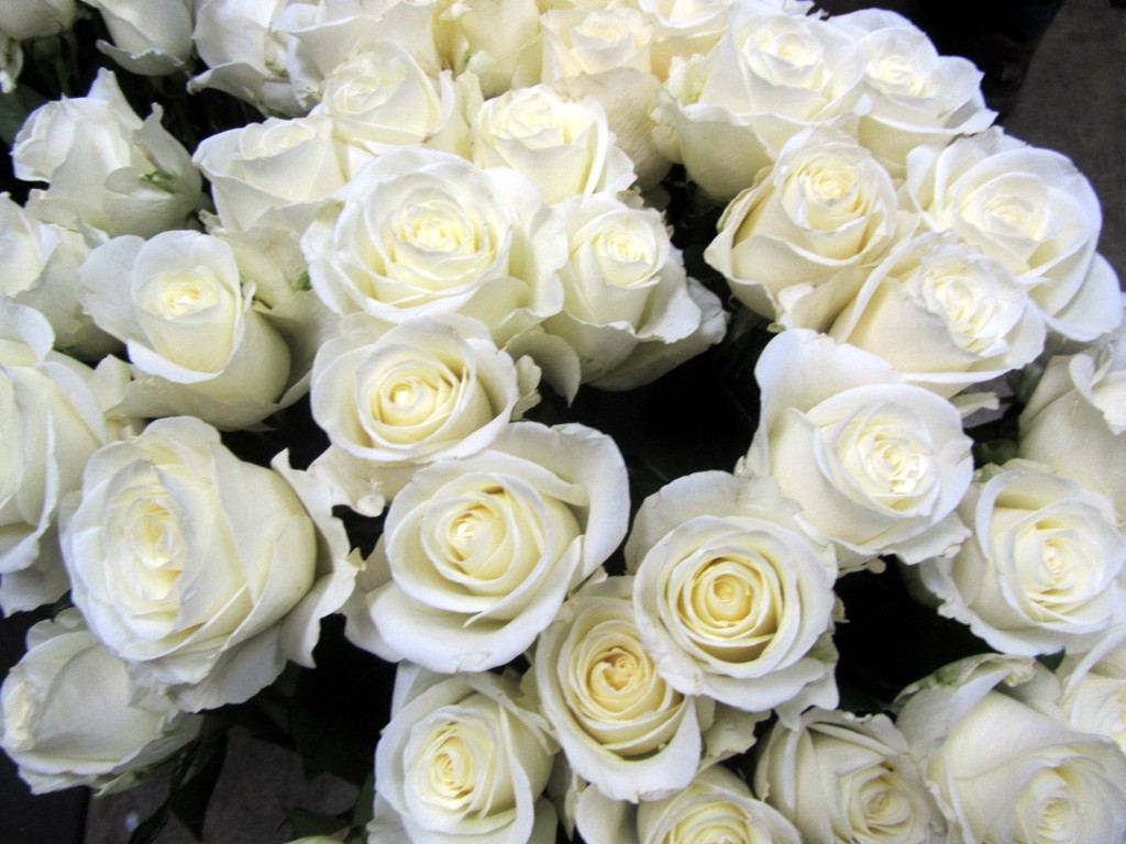 Creating A Beautiful Mess With Flowers: What To Grow