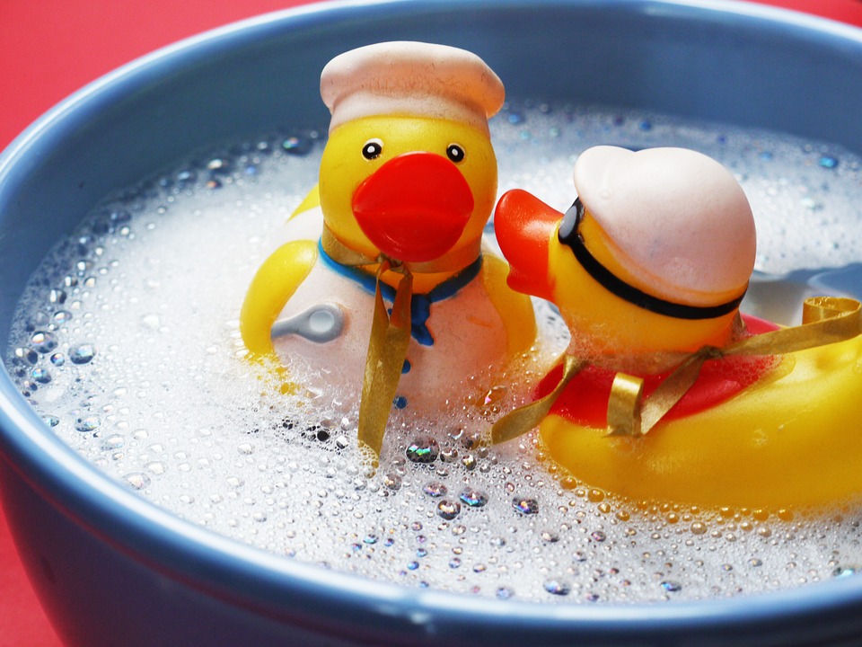50 Funny Duck Jokes That Will Make You Laugh