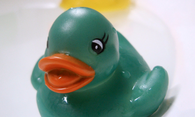 50 Funny Duck Jokes That Will Make You Laugh