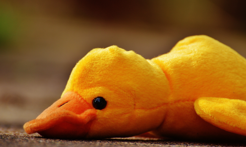 50 Funny Duck Jokes That Will Make You Laugh