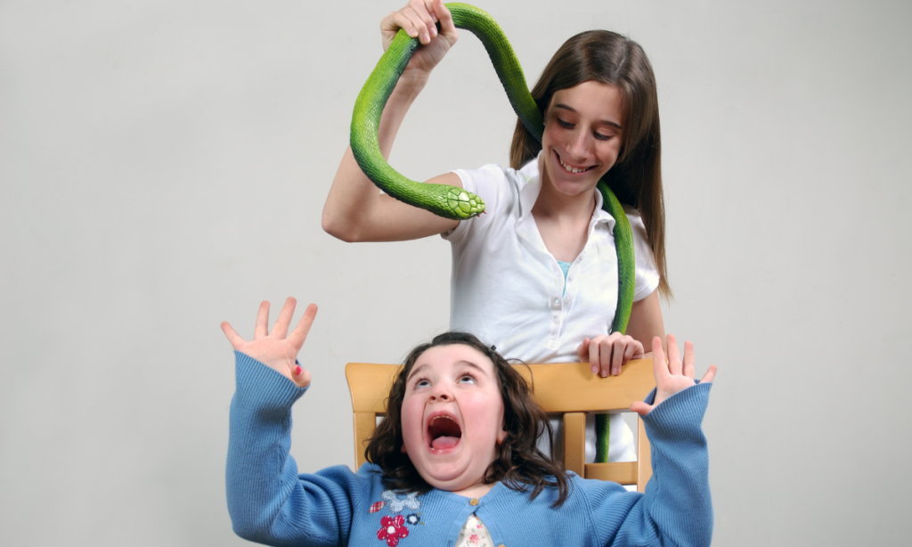 50 Best r/jokes Which Are Really Funny