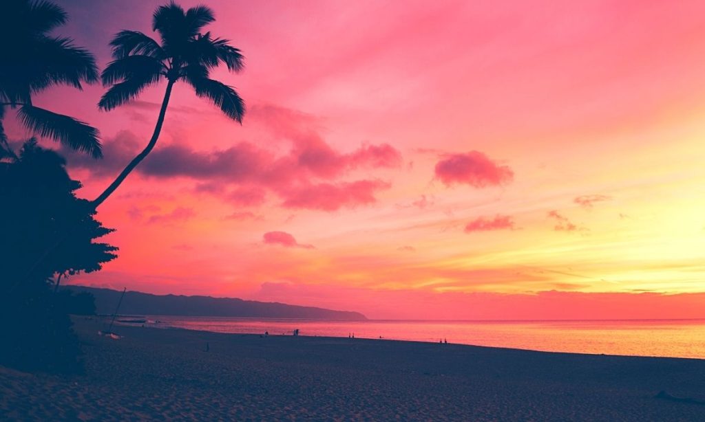 Beach Quotes That Will Inspire You To Plan A Beach Vacation