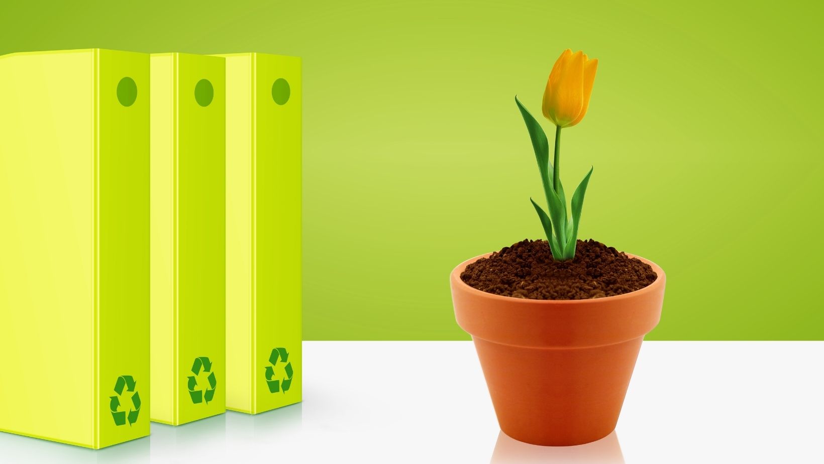 Developing Driver Awareness Amid Increasing Distracted Driving Accidents