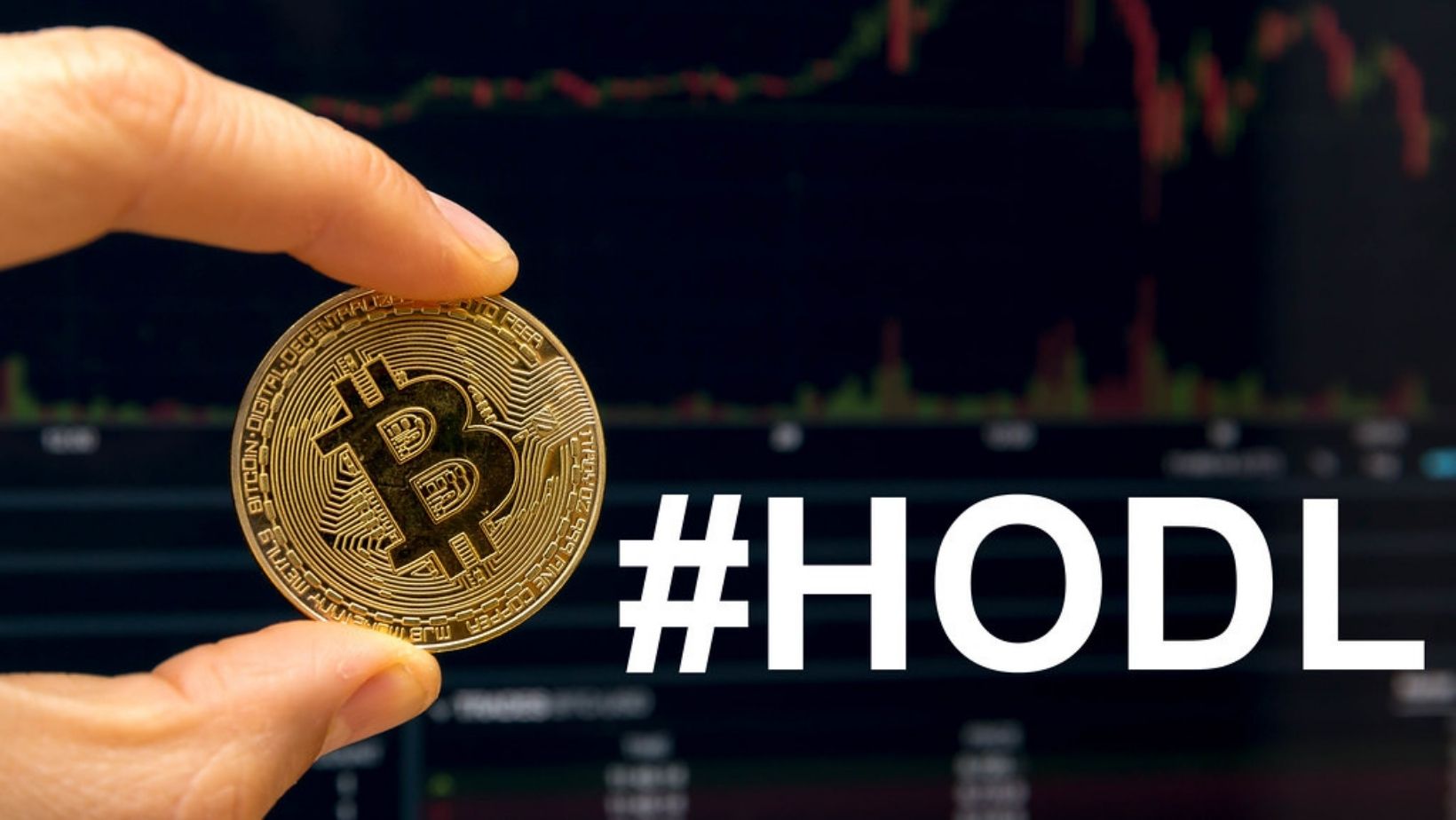HODL | Newszii.com