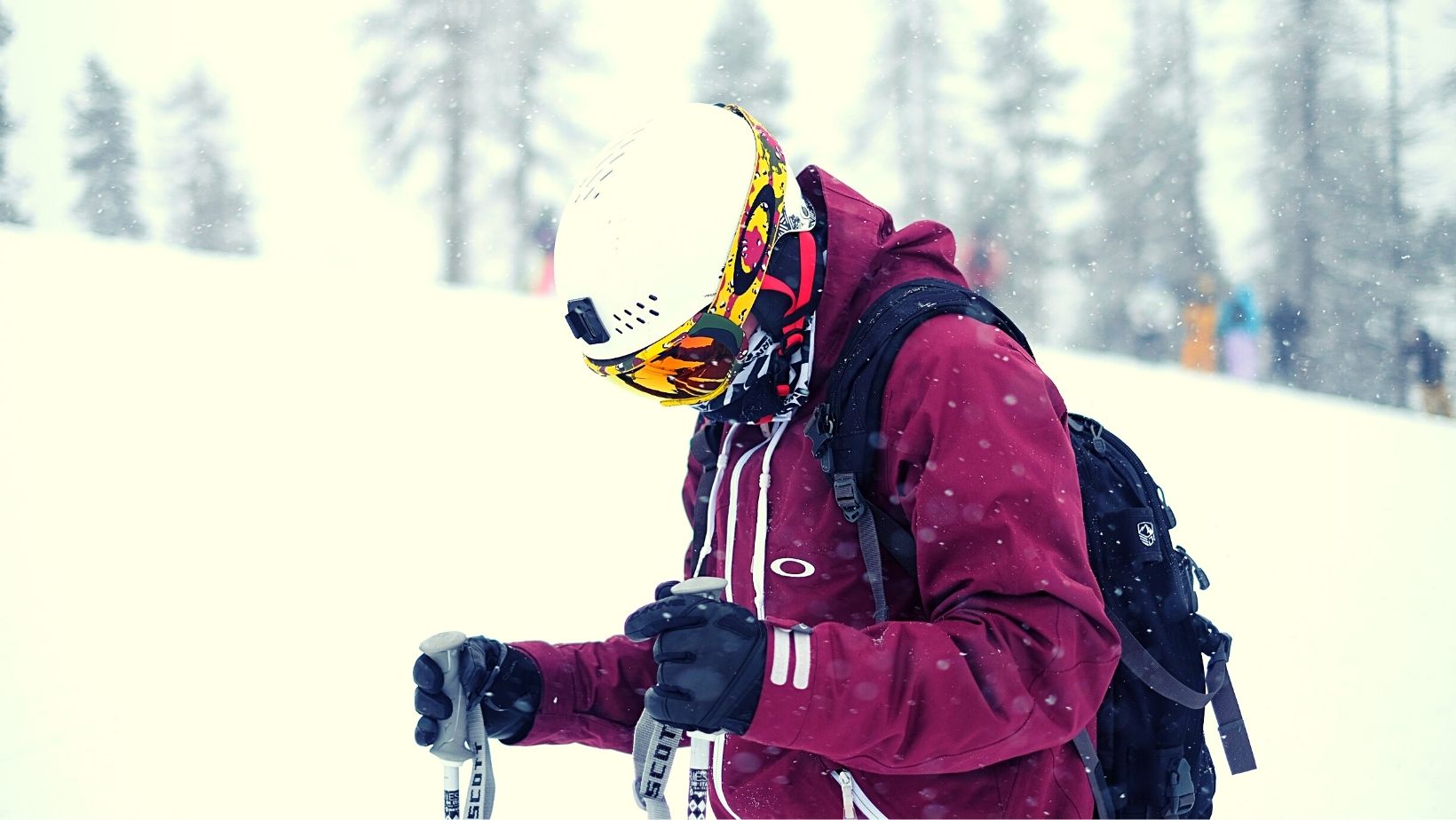 The Helmet Movie Download Link Leaked By Tamilrockers