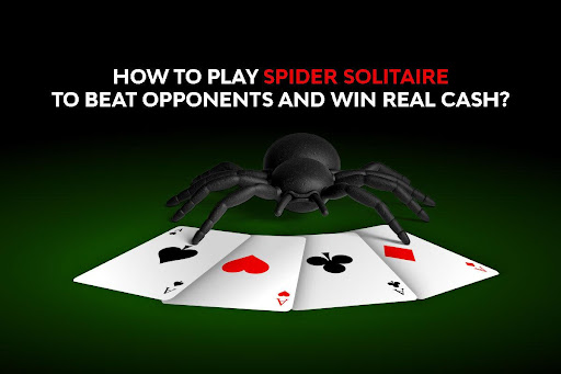 How To Play Spider Solitaire To Beat Opponents And Win Real Cash?