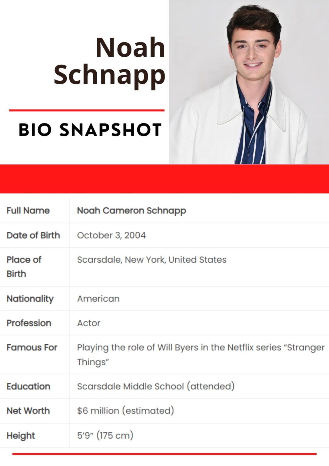 Noah Schnapp Net Worth 2024, Age, Family, Biography And Career