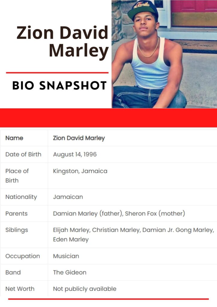 Zion David Marley Net Worth 2024, Age, Family, Biography And Career