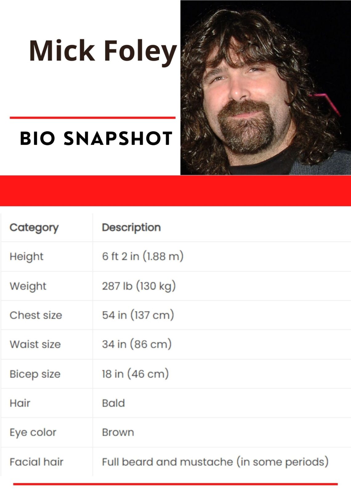Mick Foley Net Worth 2024, Age, Height, Bio, Birthday, Wiki