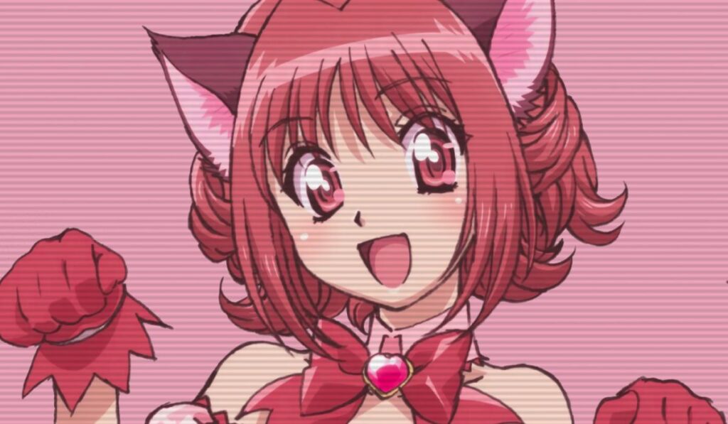 40+ Top Anime Cat Girl Characters