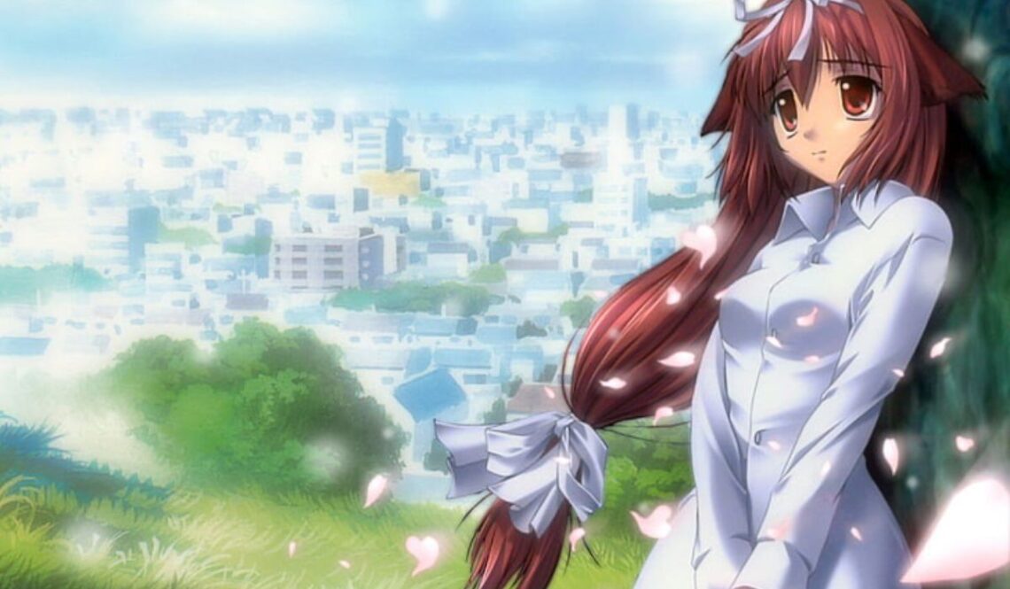 40+ Top Anime Cat Girl Characters