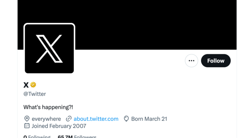 Elon Musk Promises Twitter Cleanup, Bye-Bye Memes